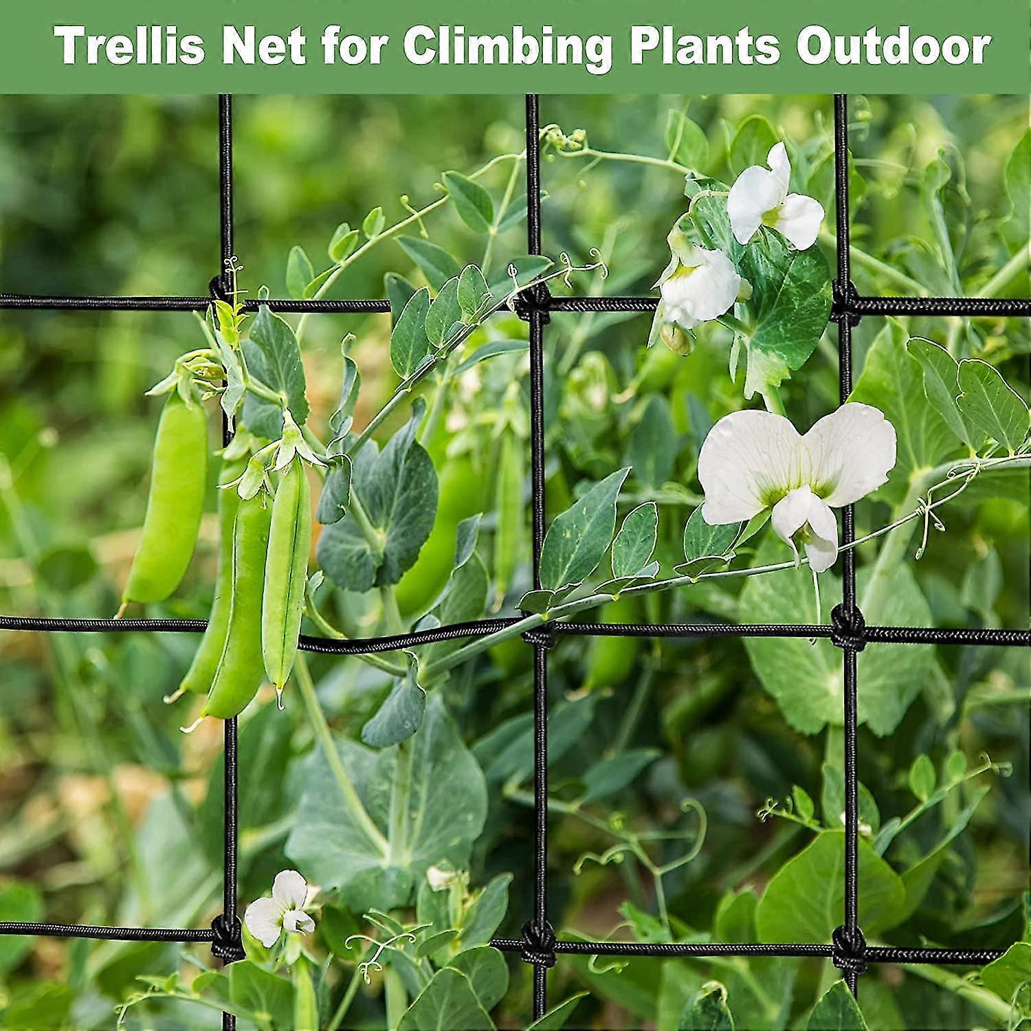Trellis Net For Climbing Plants, Elastic Trellis Netting, Heavy-duty ...