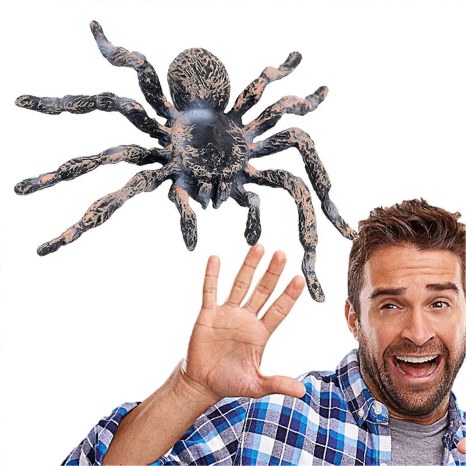 Realistic Giant Spider Toys Simulated Spider Abs Toys Scary Fake ...