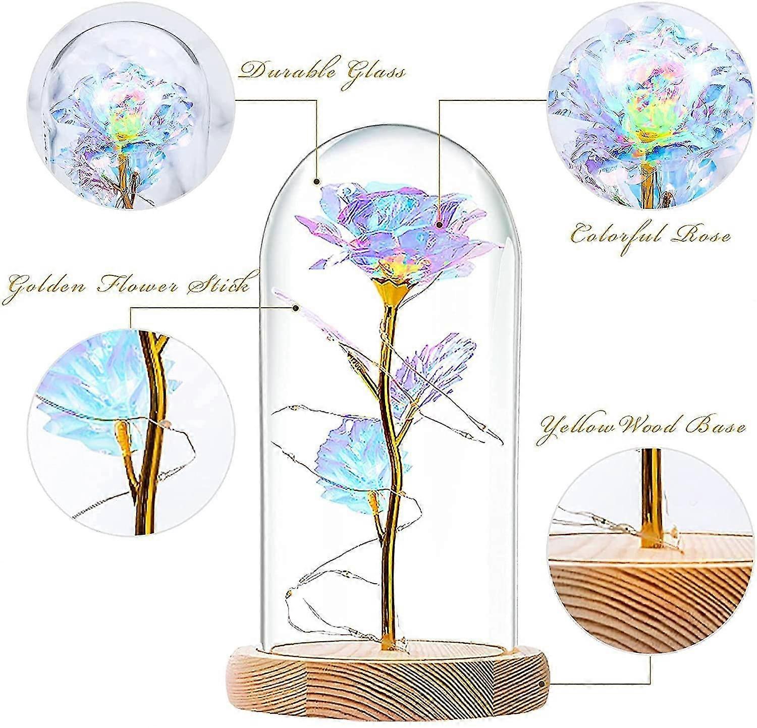 Beauty And The Beast Rose Forever Infinity Rose In Glass Dome Eternal ...