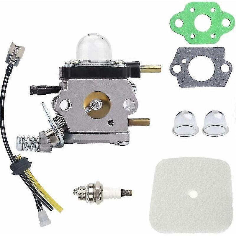 Mantis Tiller Parts C1U-K54A Carburetor Repower Kit | Fruugo IE