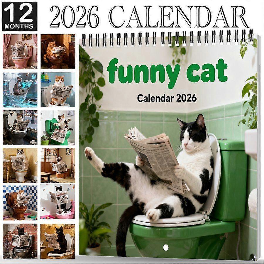 Funny Cat Calendar 2026 - Large 12 Month 2026 Wall Calendar - Month to ...