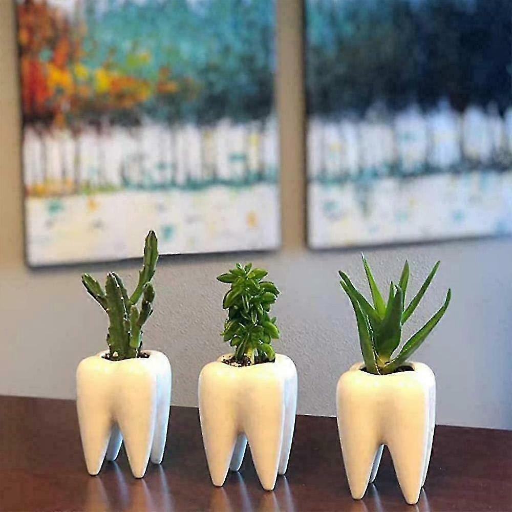 Tooth Shaped Ceramic Flower Pot Planter Plant Holder Succulen Flower ...