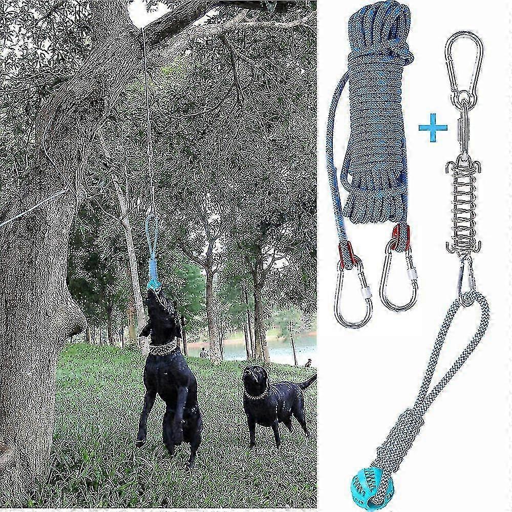 Dog Spring Pole Toys Set Outdoor Hanging Exercise Cotton Rope Dog ...