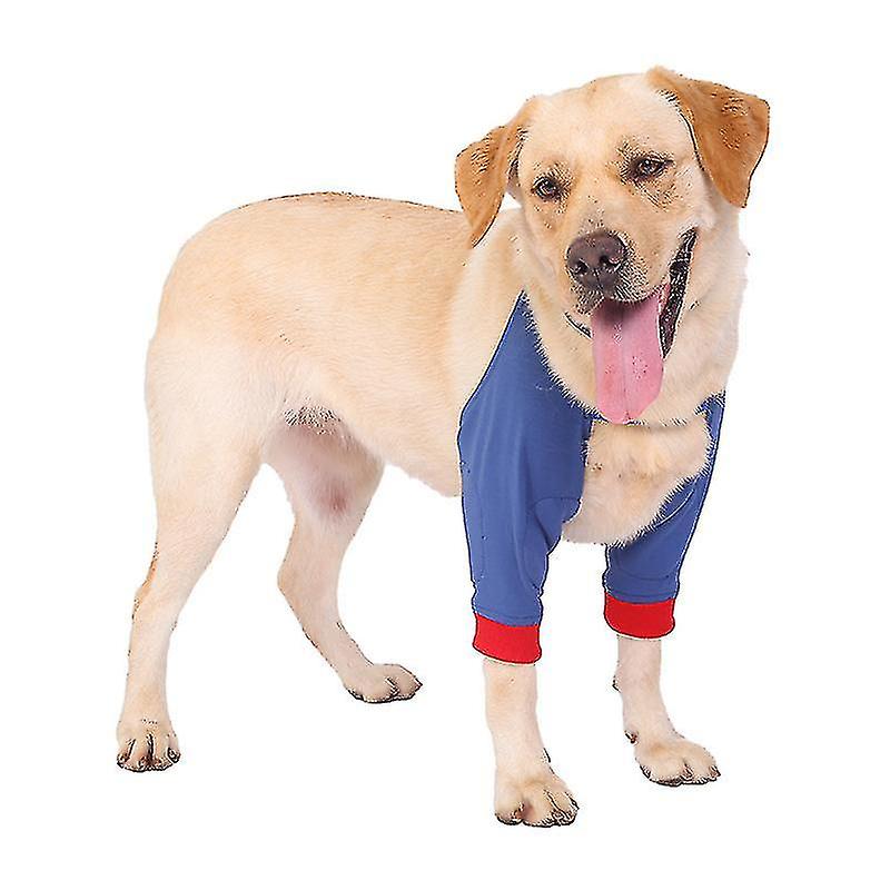 Hund främre benstöd Hund armbågsskydd Stödremmar för läker skyddar mot ...