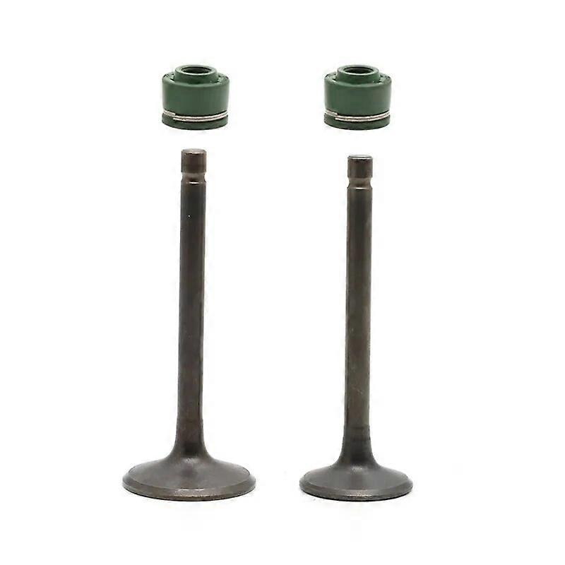 ATV Parts Intake & Exhaust Valves Set For Yamaha YFA1 Breeze 1989-2004 ...