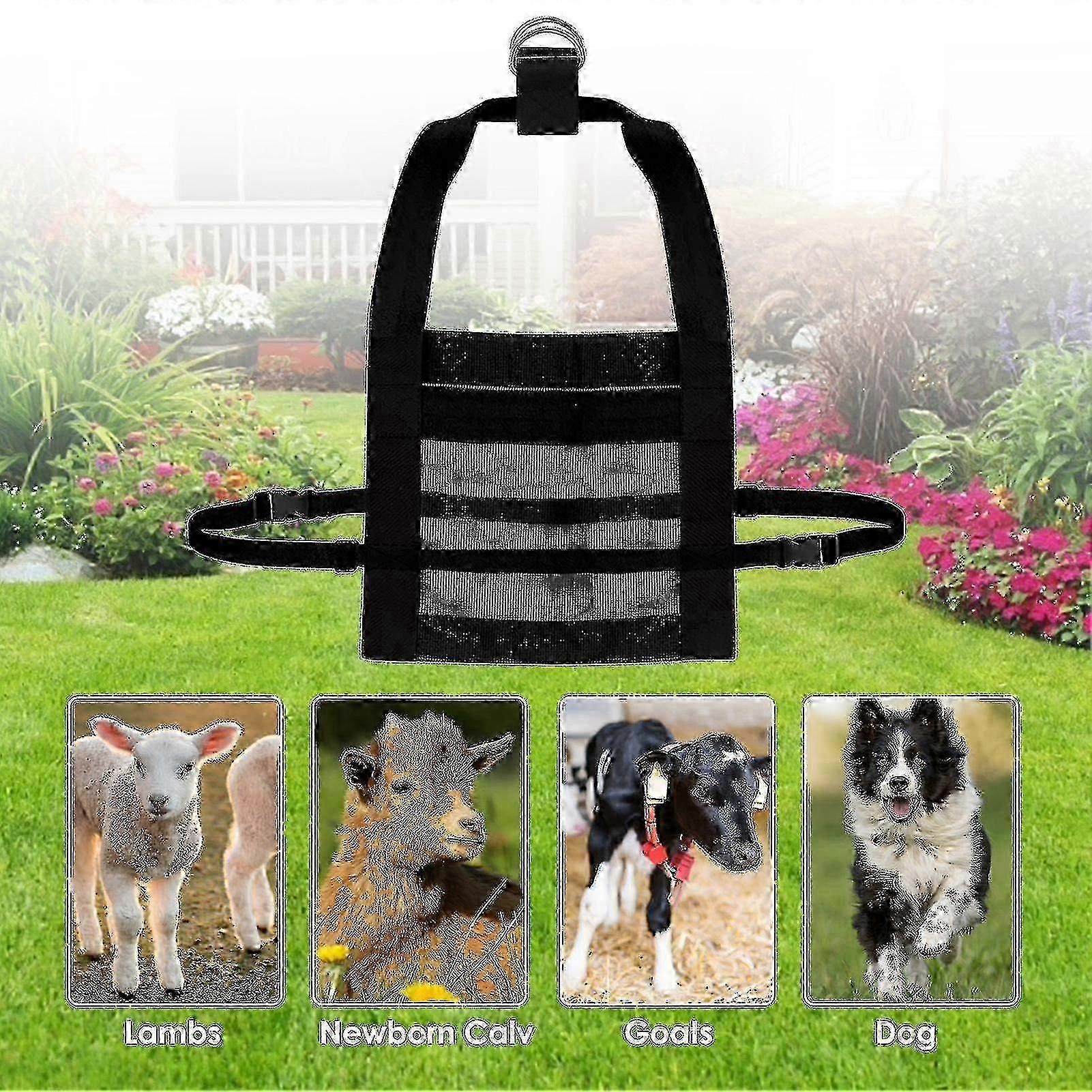 Animal Weighing Sling with Adjustable Straps for Calves and Lambs ...