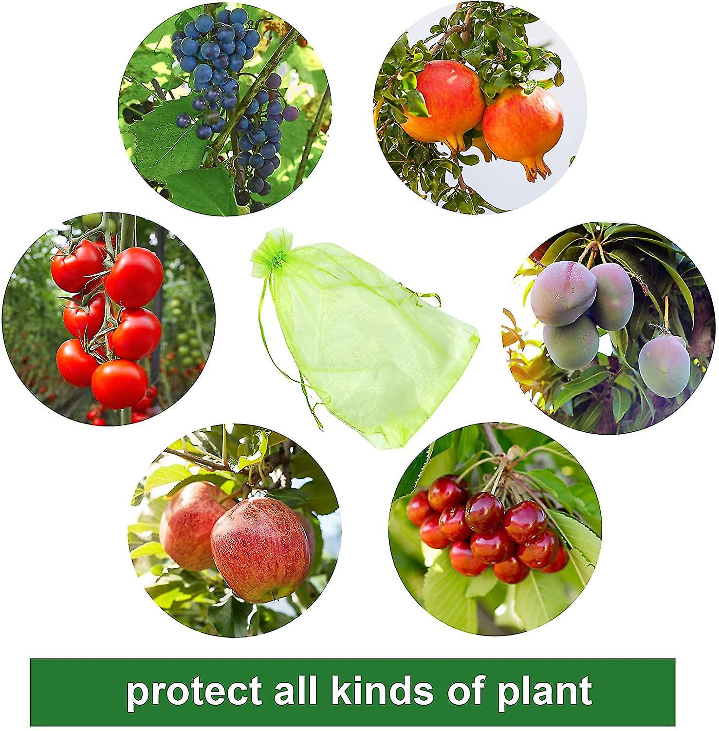 50 Pieces Grape Bunch Protection Bag, Organza Fruit Bag With ...