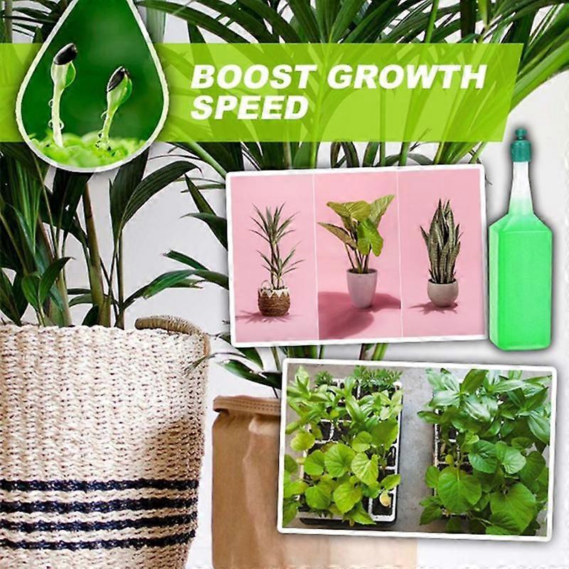 Pc 38ml Hydroponic Plant Nutrient Solution Fertilizer Bamboo Flower ...