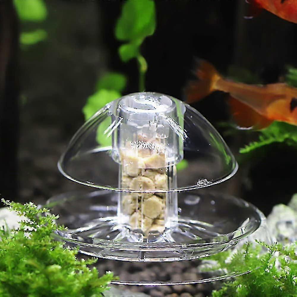 2 Pcs Snail Trap For Fish Tank Aquarium Plastic Clear Snail Trap ...