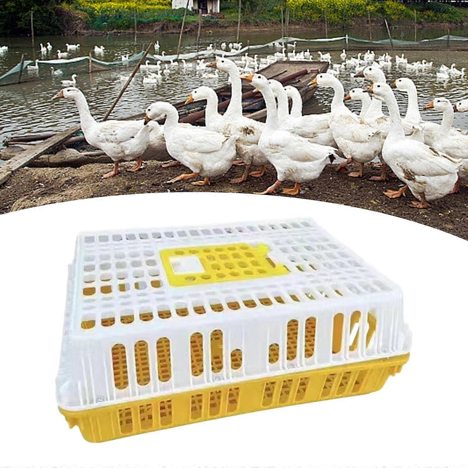 Poultry Carrier Crate Chicken Carrier Crate Sturdy for Chickens Hens ...