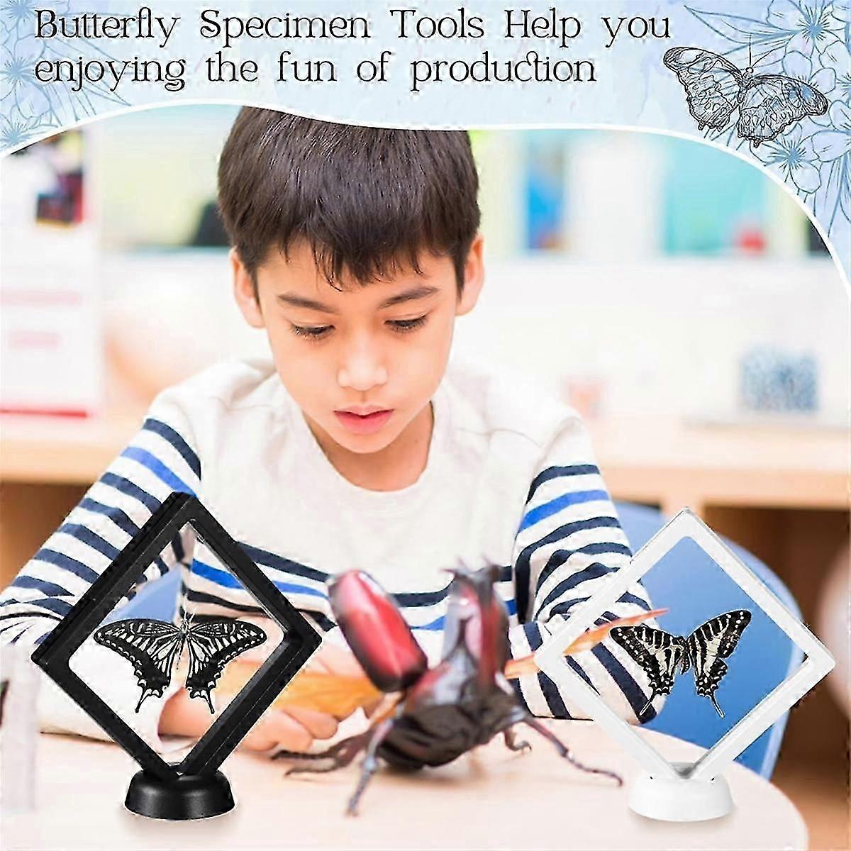 Insect Specimen Tool Kit Butterfly Specimen compatible with Classroom ...