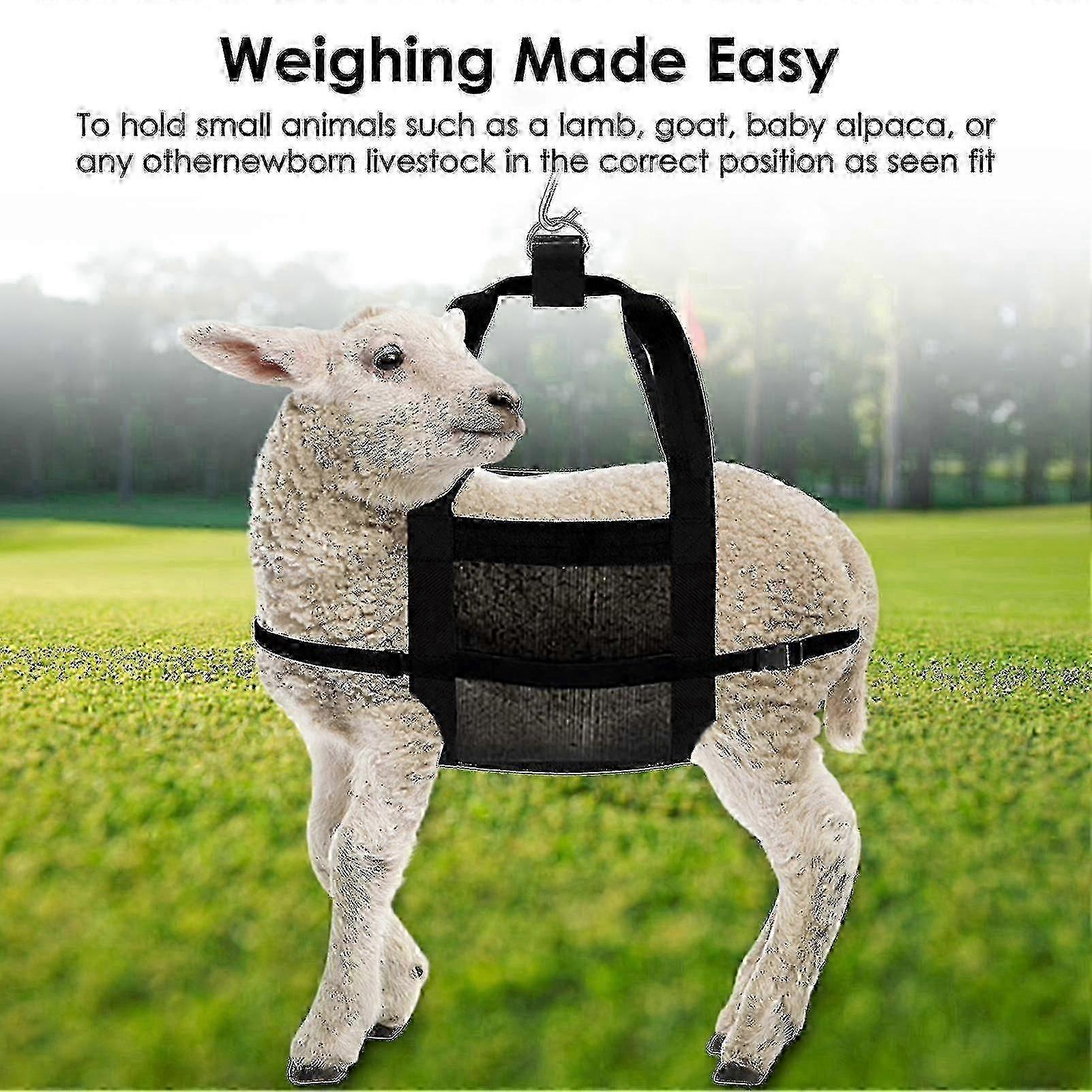 Animal Weighing Sling with Adjustable Straps for Calves and Lambs ...