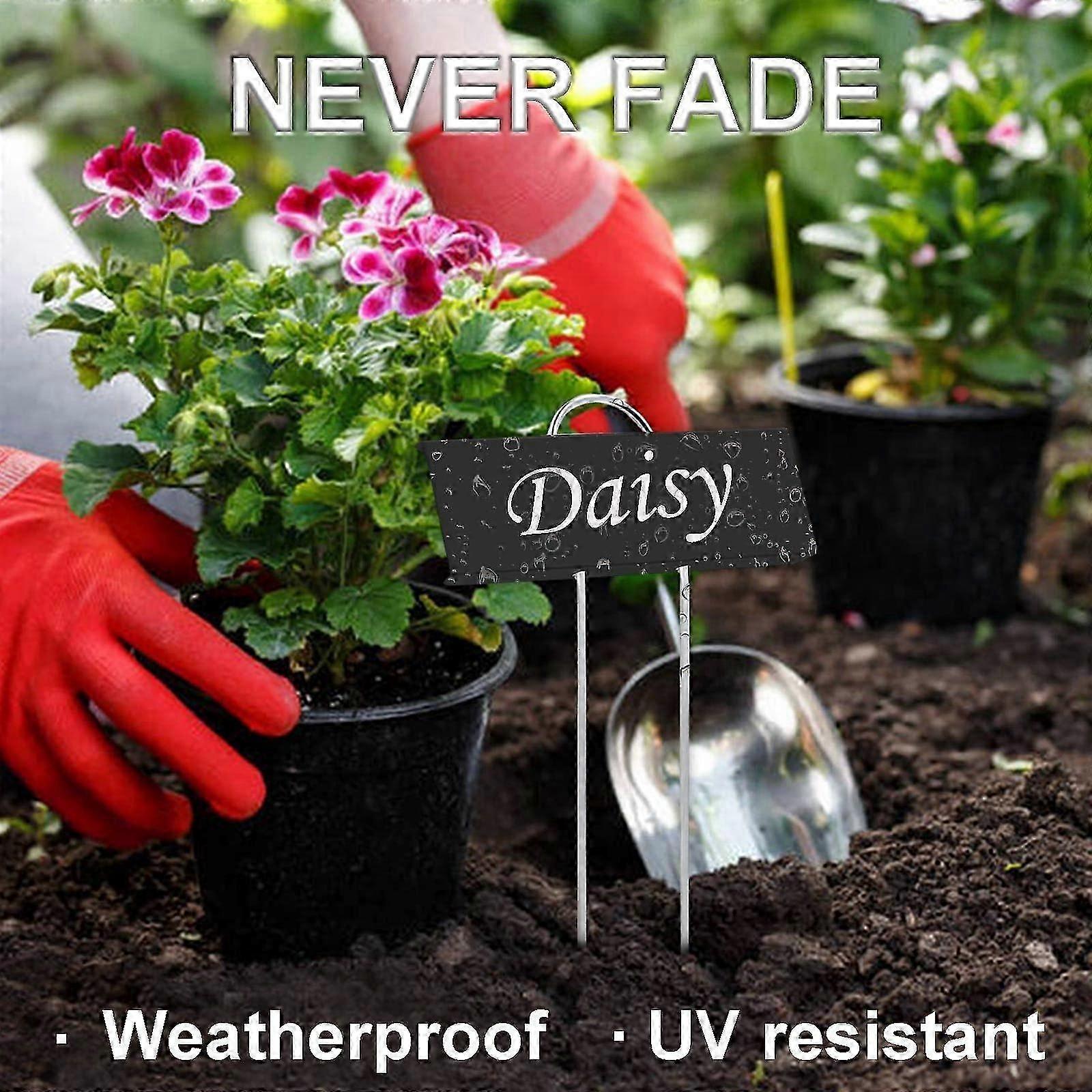 Plant Labels, Plant Label Markers, 12 Pcs Durable Rustproof Metal ...