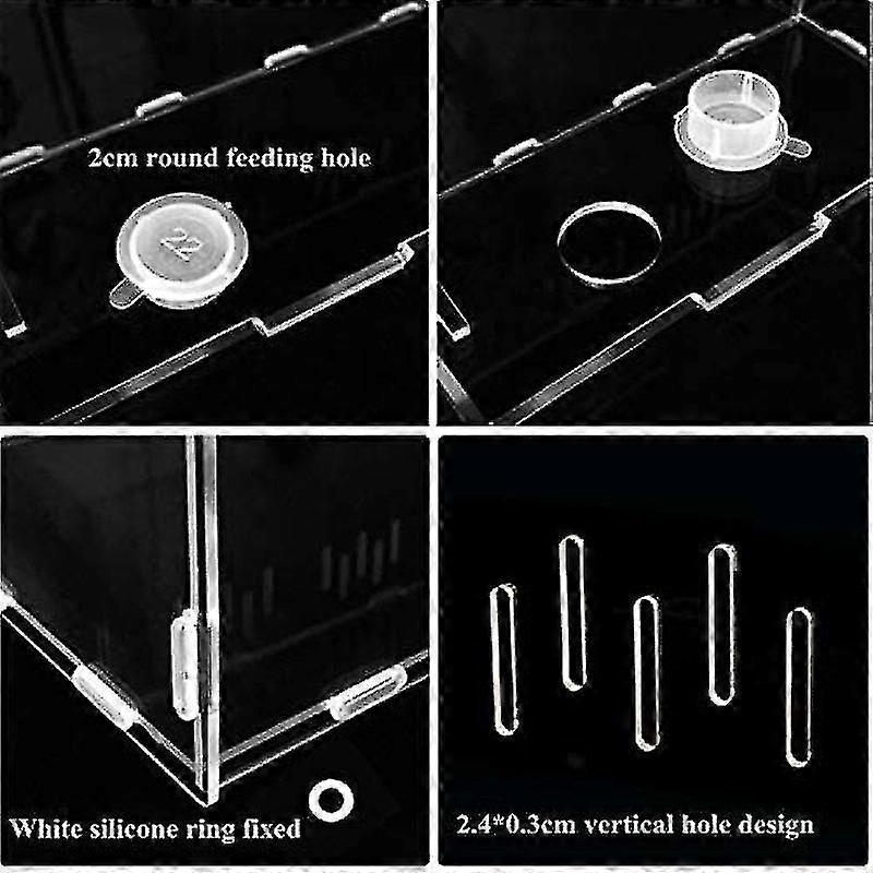 Mini Glass Breeding Box, Acrylic Reptile Feeding Box, Portable Reptile ...