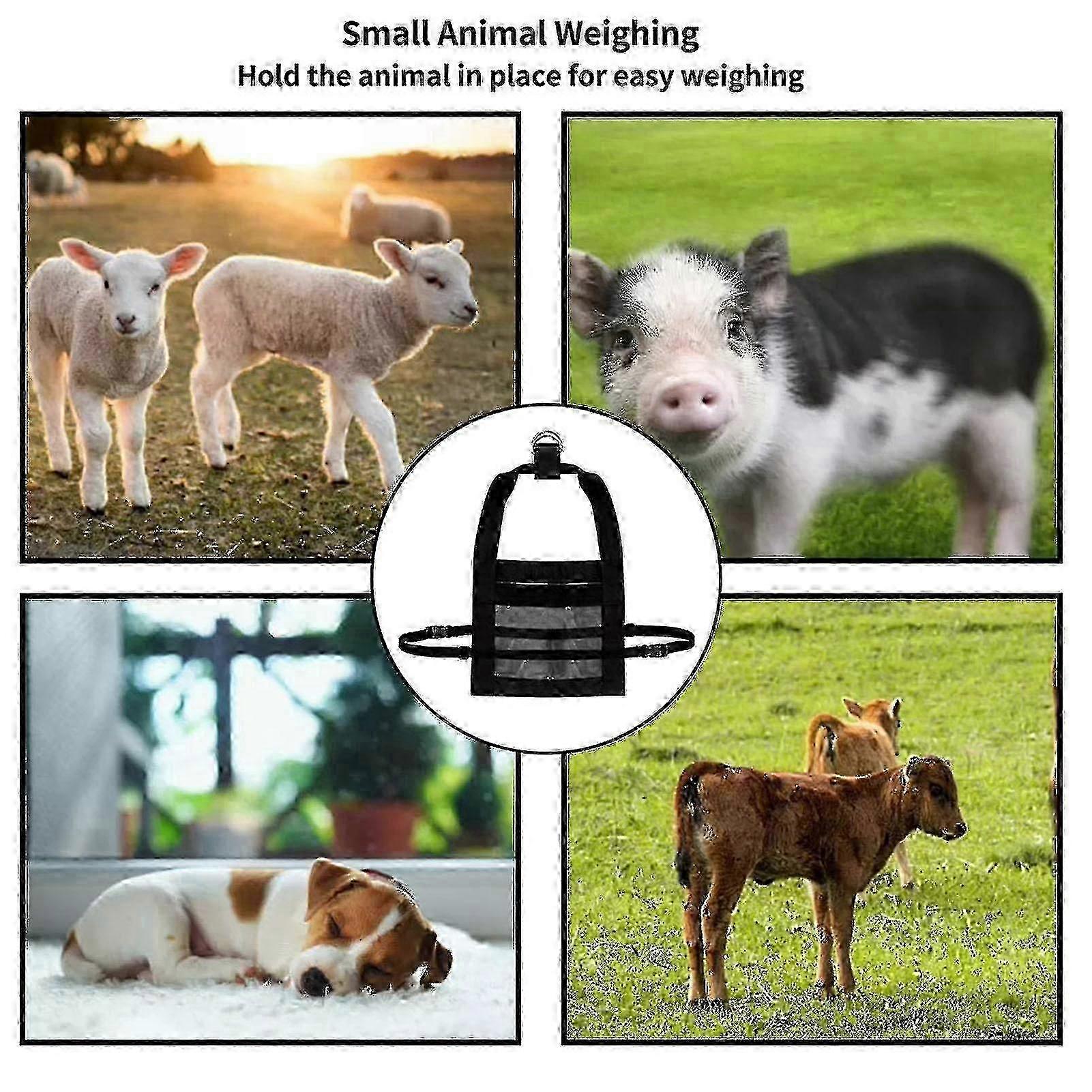 Animal Weighing Sling with Adjustable Straps for Calves and Lambs ...