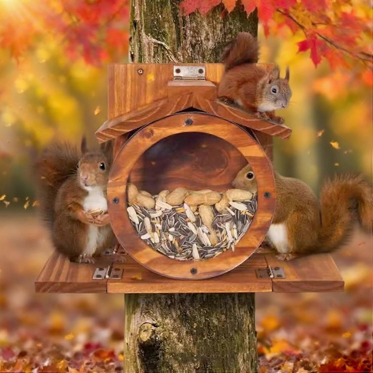 Outdoor Wooden Squirrel Feeder Tamias Feeder With Air Holes ...