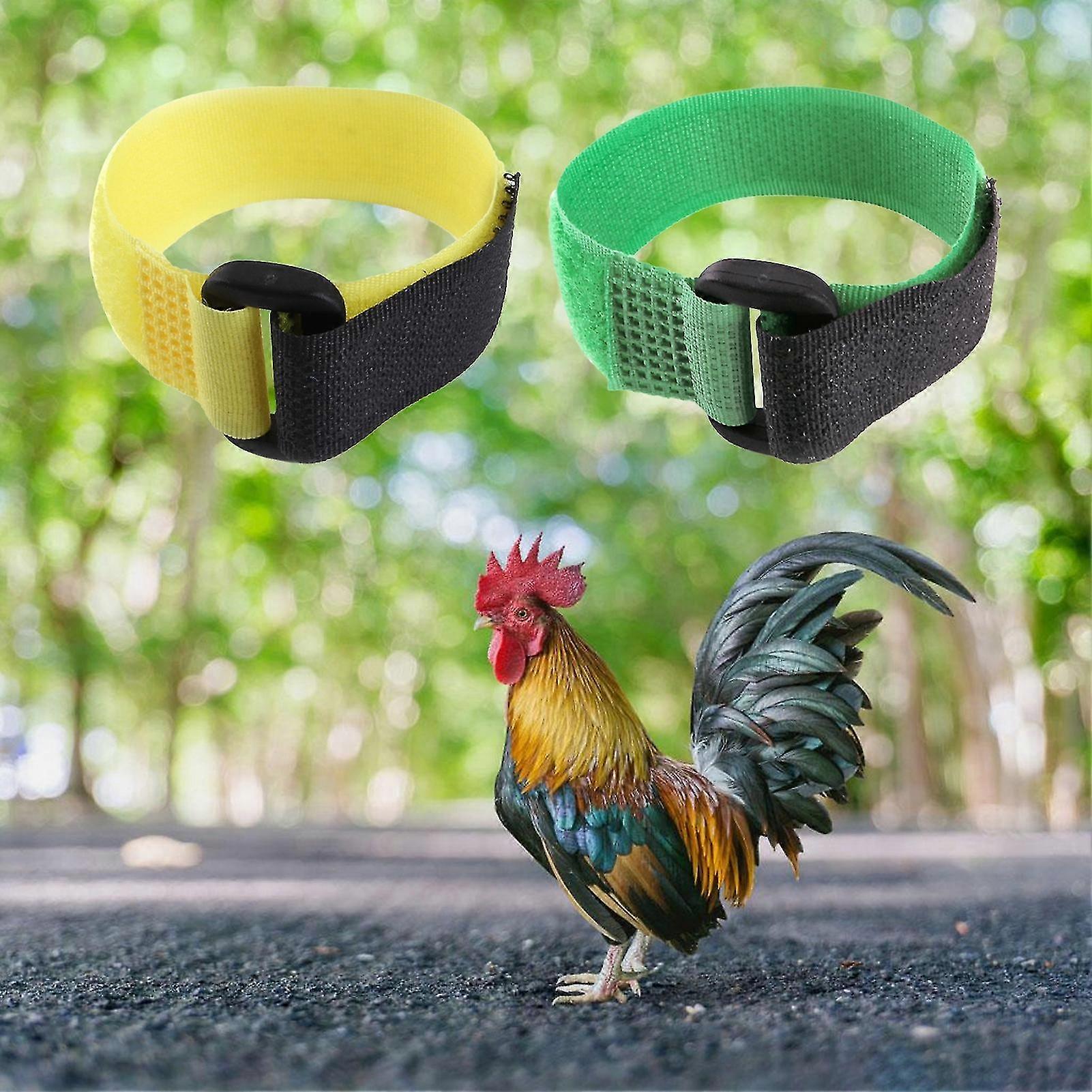 2pcs Chicken Collar Soft Texture Anti-cock Crowing Adjustable Anti-hook ...