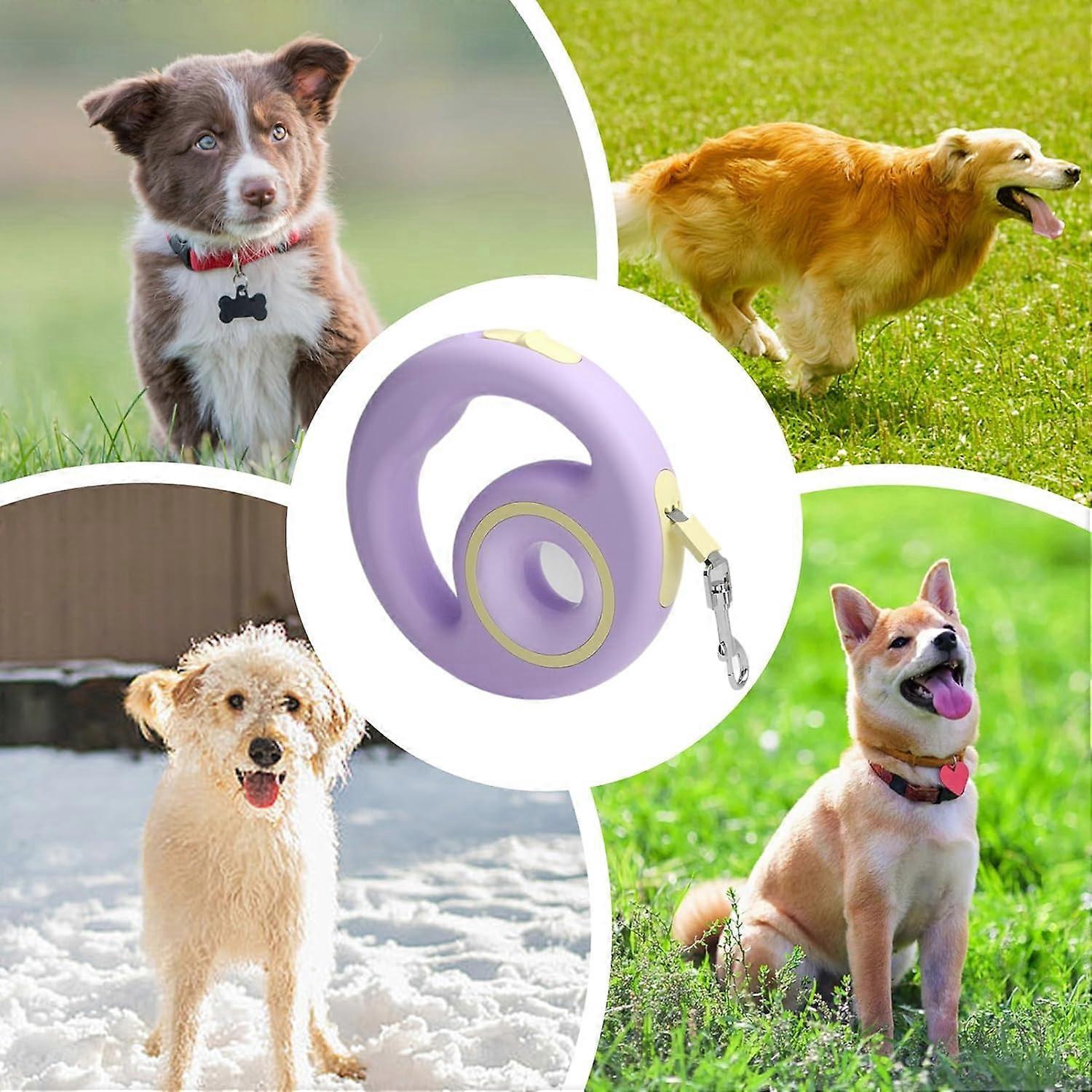 Flexible Retractable Leash for Pets Durable System for Camping Hiking ...