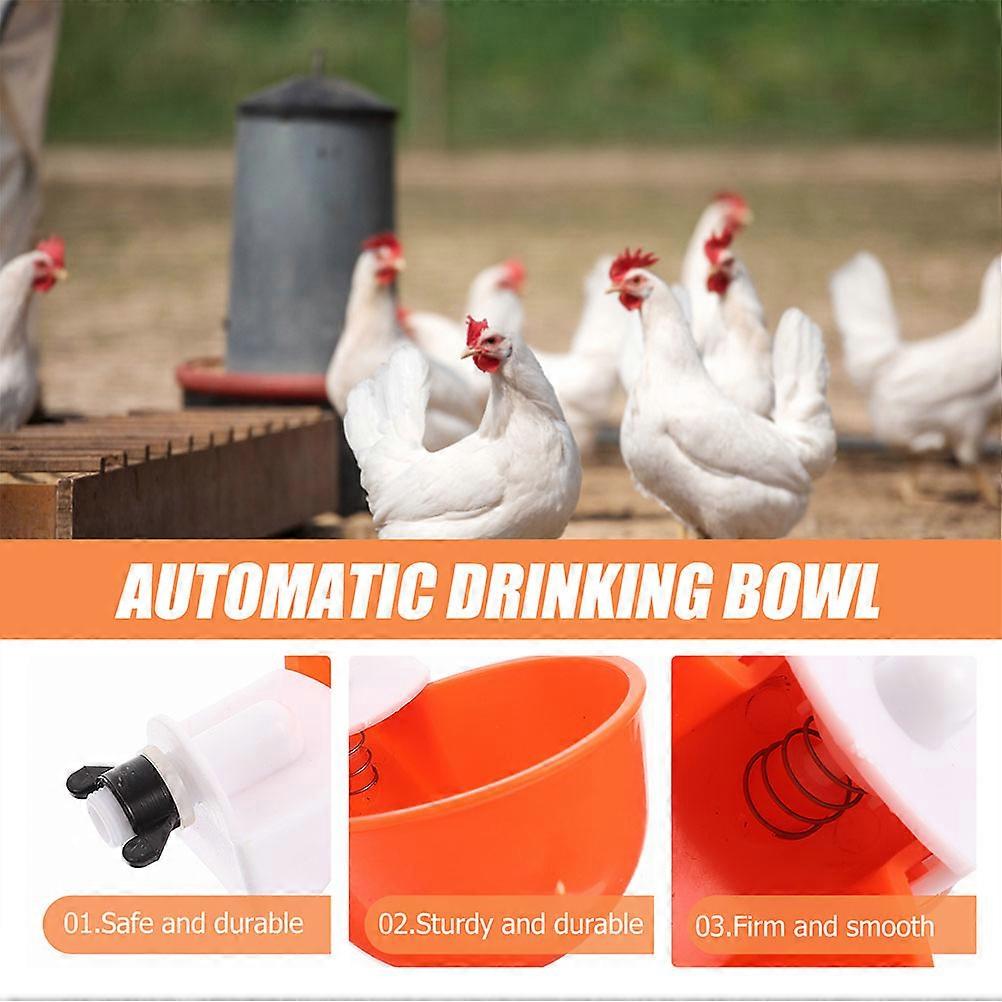 6 Pcs Quail Waterer Chicken Feeder Cups Quail Drinking Cups Chicken ...