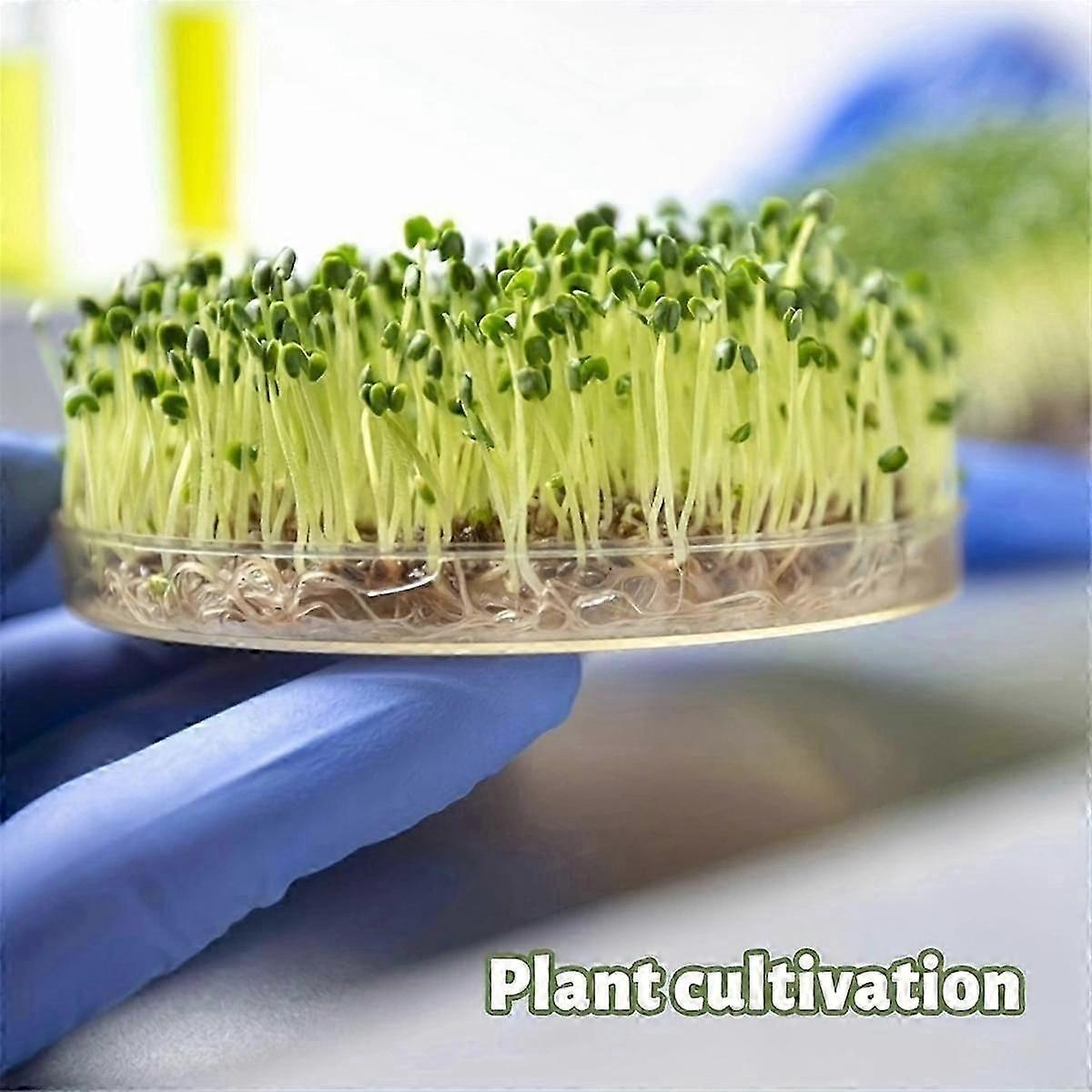 Dish Science Project Kit, Sterile Dish, Dish Cell Observation ...