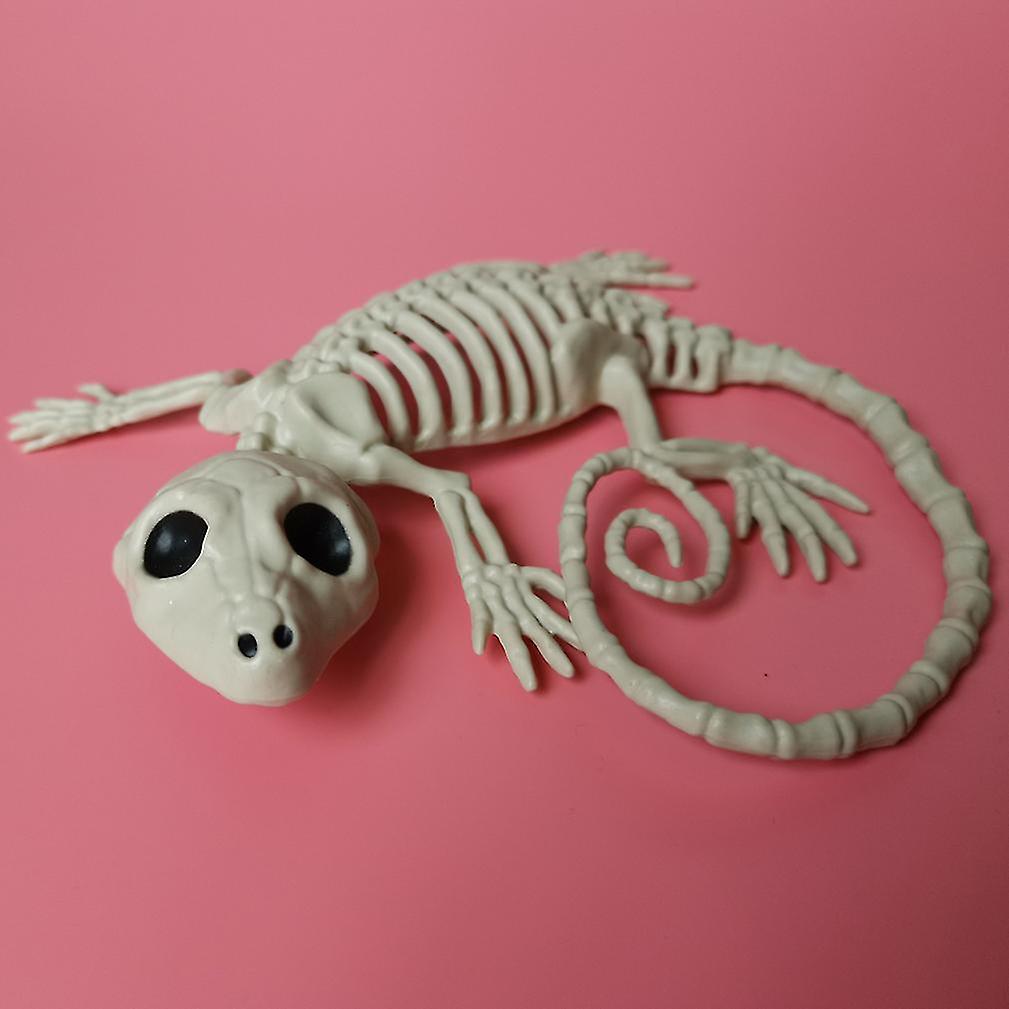 Halloween Animal Skeleton Bones Horror Piranha Fish Gecko Frog ...