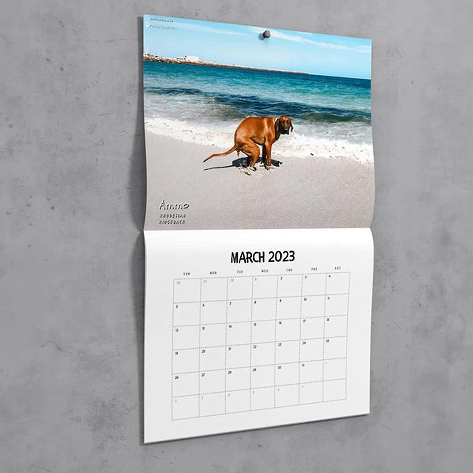 2023 Wall Calendar - Dog Pooping Calendar 2023-2024 , Funny Dog ...