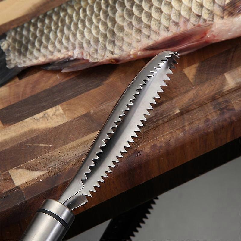 304 Stainless Steel Fish Scales Planer Scale Scraper Fish Brush Remove Fish Scales Scraper Fish ...