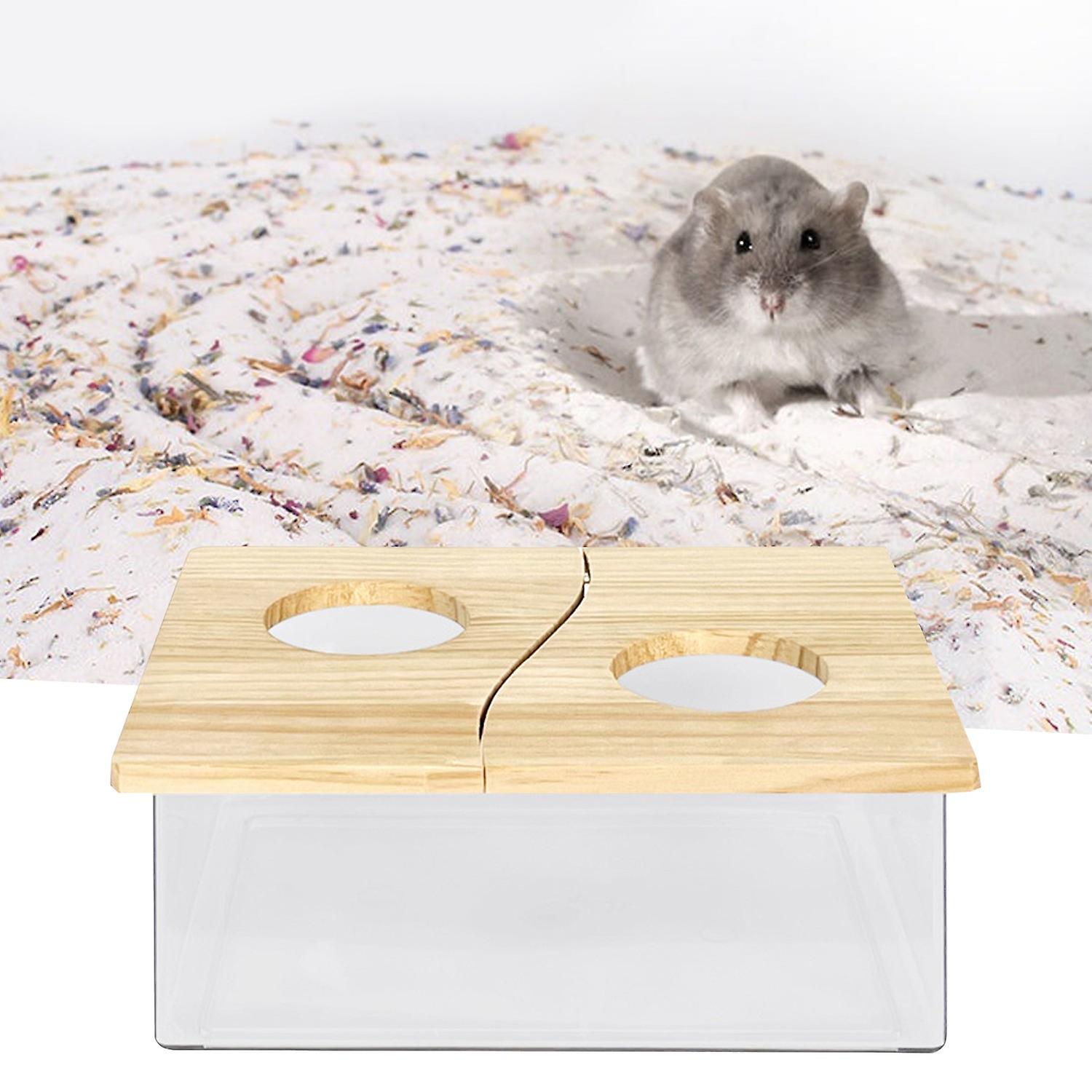 Hamster Sandbox Transparent Visible Large Space Smooth Edge Burr Free ...