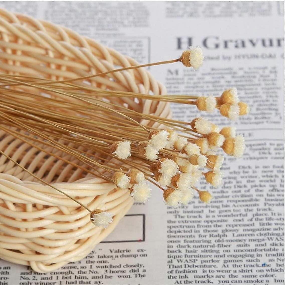 20 Pcs/Set Diffuser Rattan Flower Sticks Bud Rose Rose Rattan Sticks ...