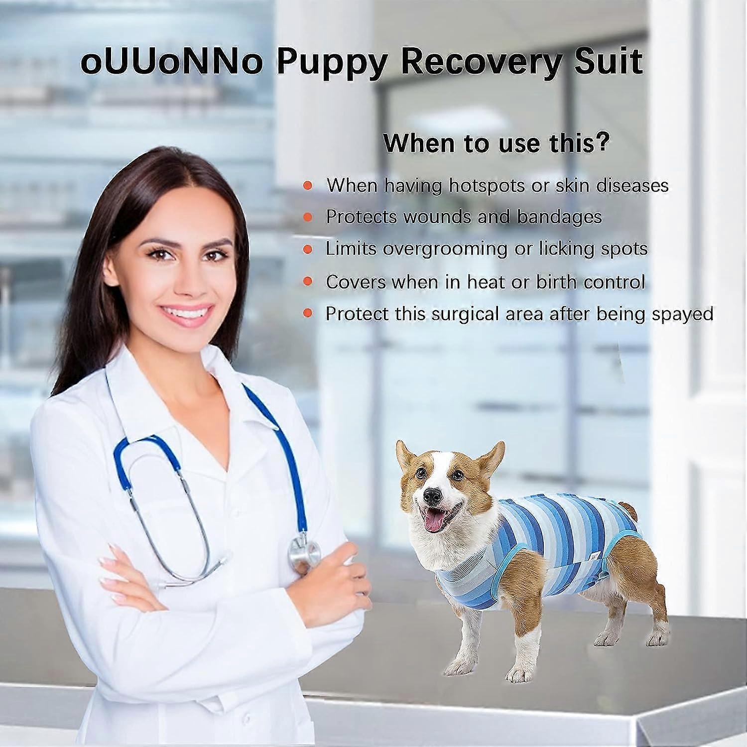 Recovery Suit for Puppy Dog Surgical Recovery Suit for Abdominal Wounds ...