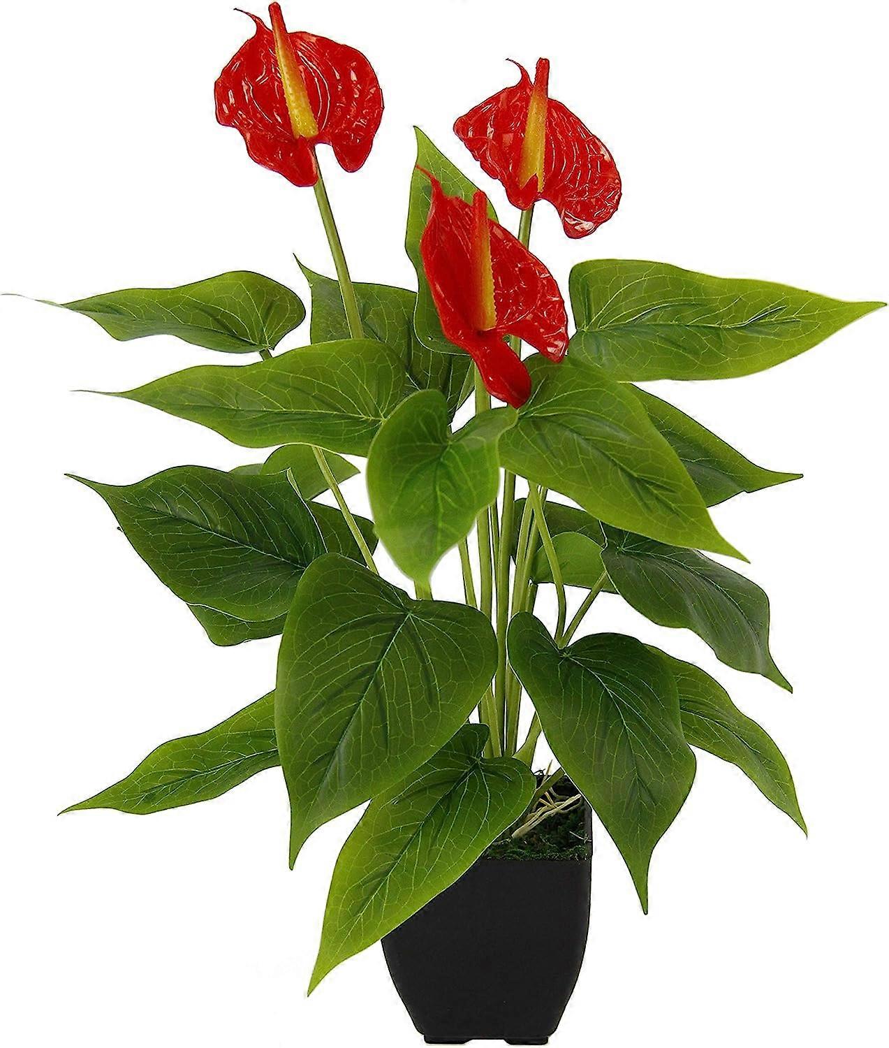 Planta de Anthurium en maceta artificial Exótica Anthurium Flamingo ...