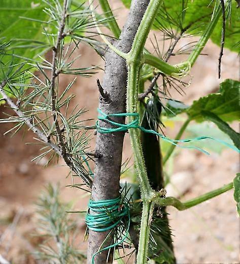 2 Pack Green Gardening Wire, Home Garden Organization 30m Rolls ...