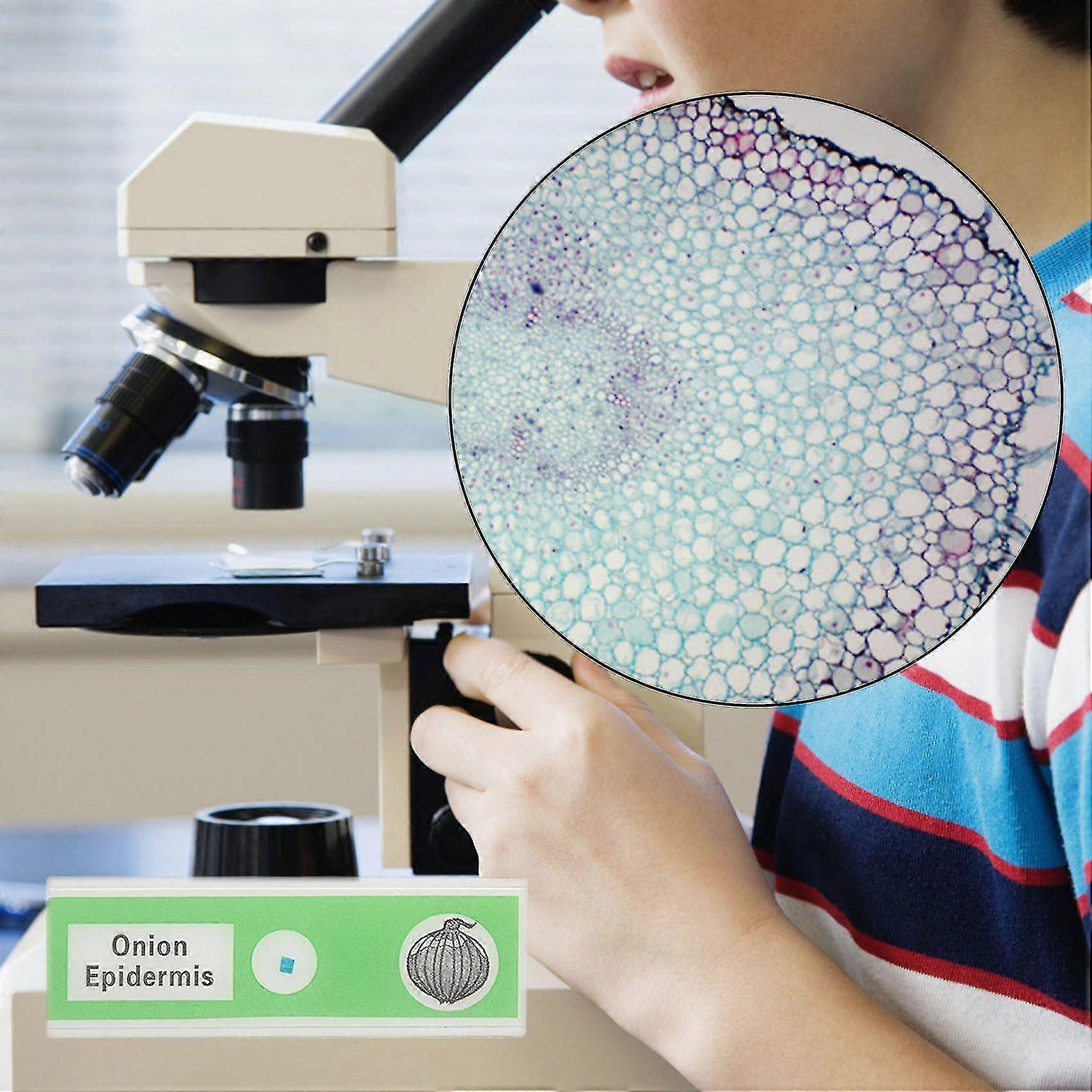 48st Barn Plast Beredda Mikroskop Glas Av Djur Insekter Växter Blommor ...