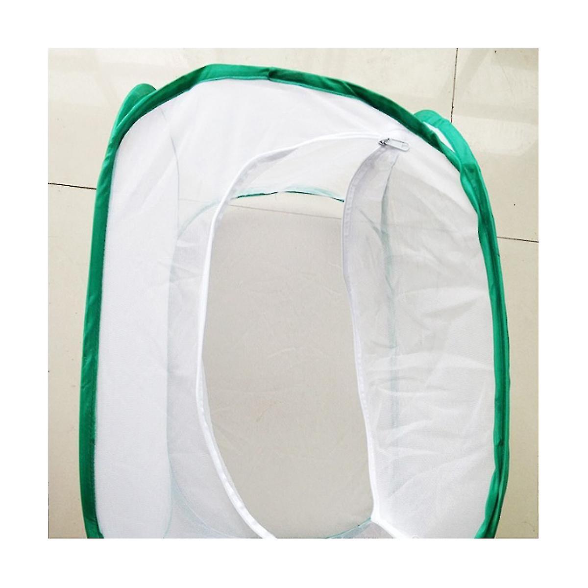 Collapsible Insect Cage Mesh Insect Habitat Cage Butterfly Stick ...