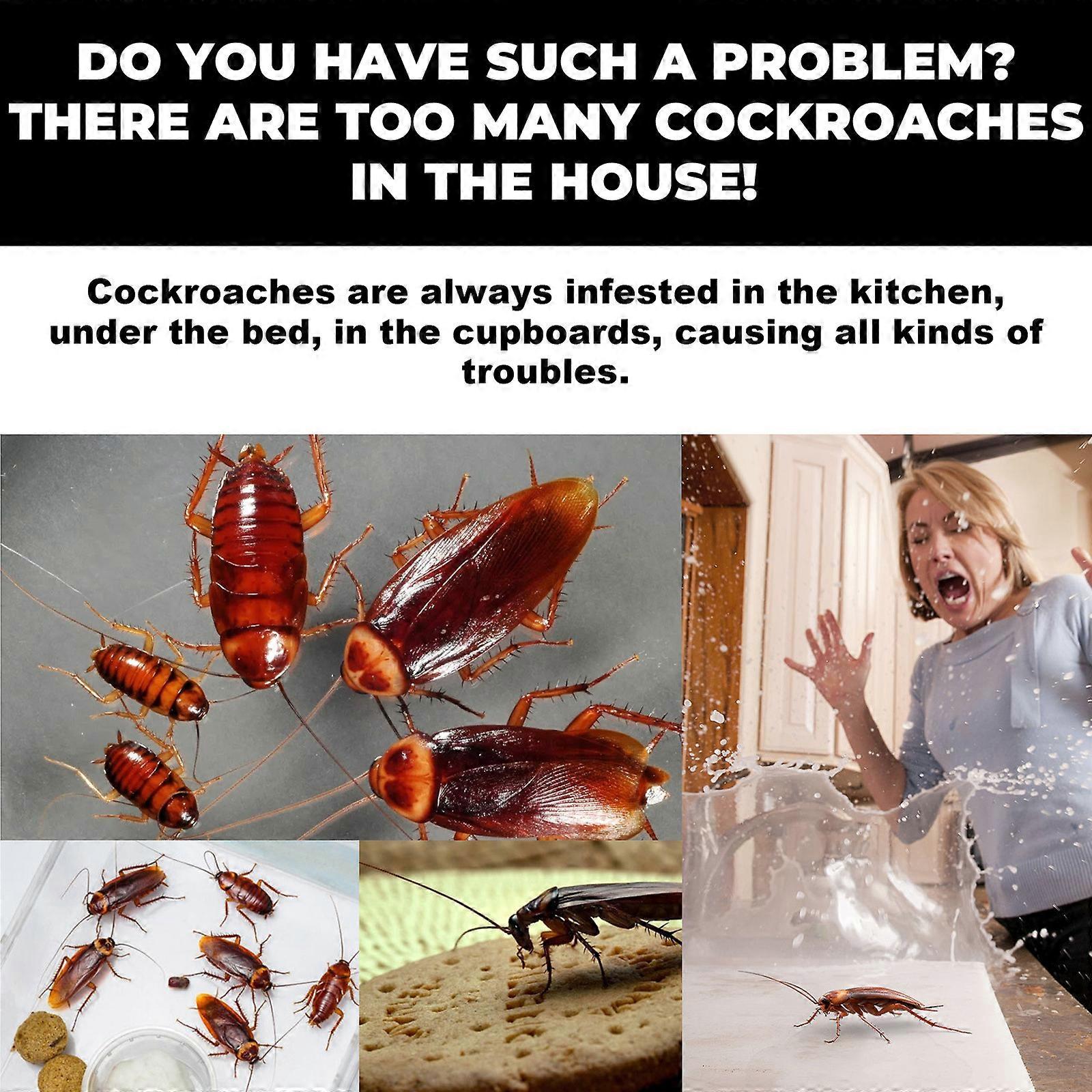 Roach Bait Stations, Natural Cockroach Repellent, Roach Traps Indoor ...