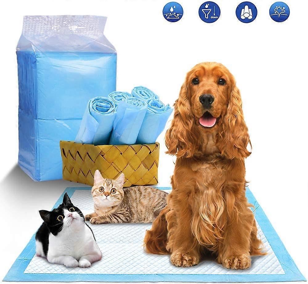 Trainer Mats for Learning, Dog Training Pads for Puppy Training ...