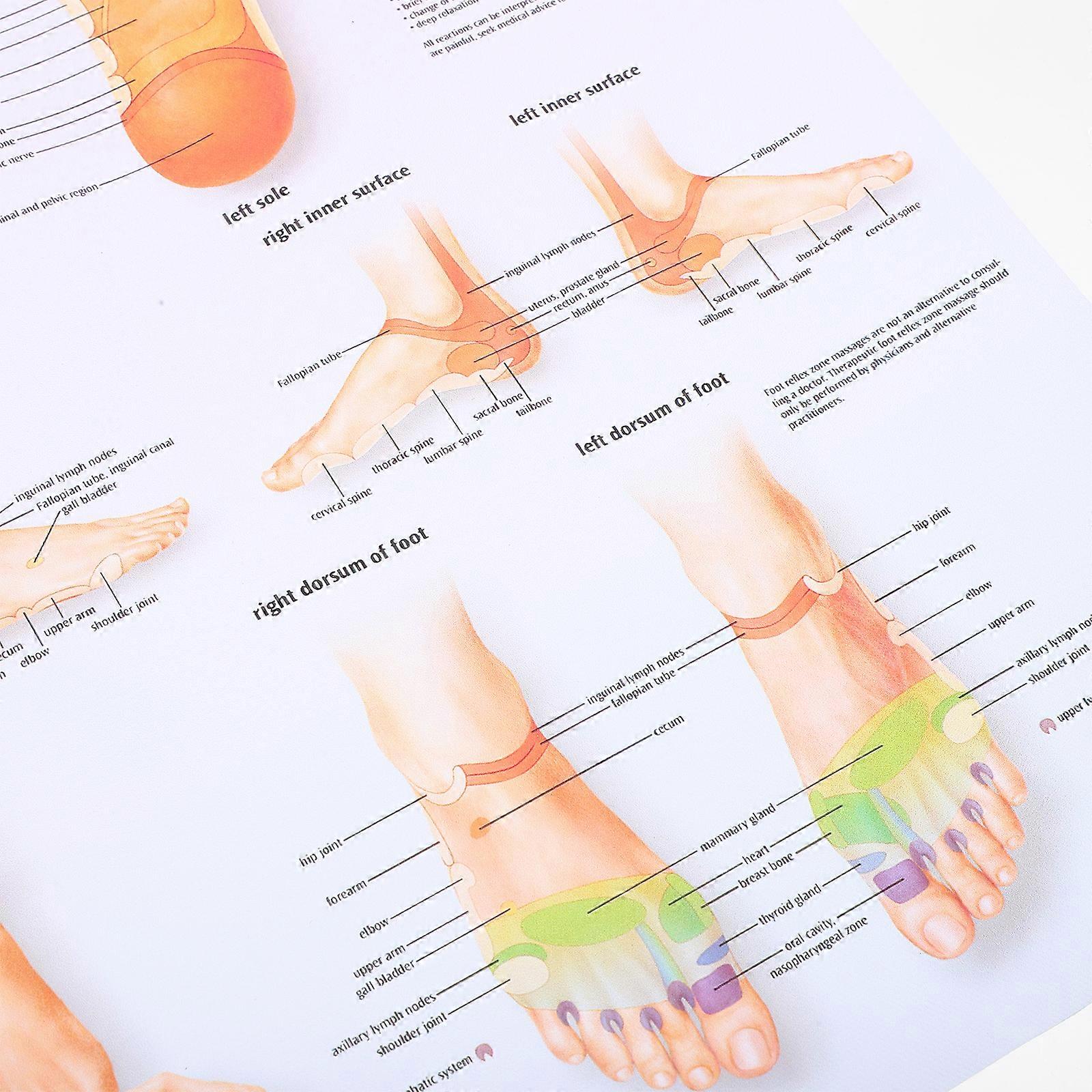 Foot Reflexology Chart Poster Massage Knowledge Poster Wall Art Home ...