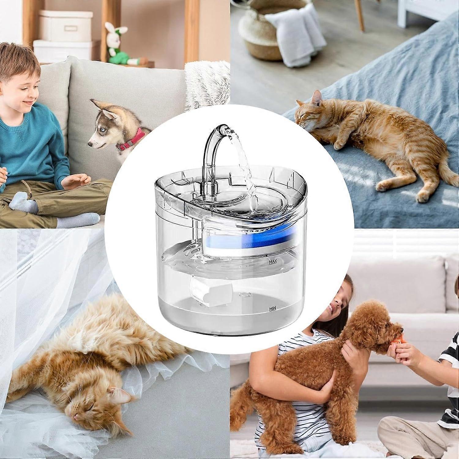 Cat Water Fountain, Quiet Pet Water Fountain, Automatic 2 Liter ...