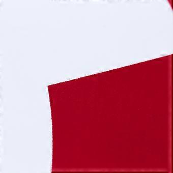 FLAGJM 90x150cm Russian " Victory Banner" Flag WW2 WWII 1945 USSR CCCP ...