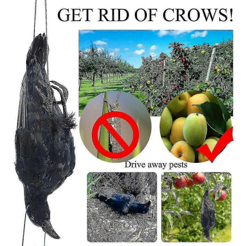 HJyang Realistic Hanging Dead Crow Decoy Lifesize Extra Black Feathered ...