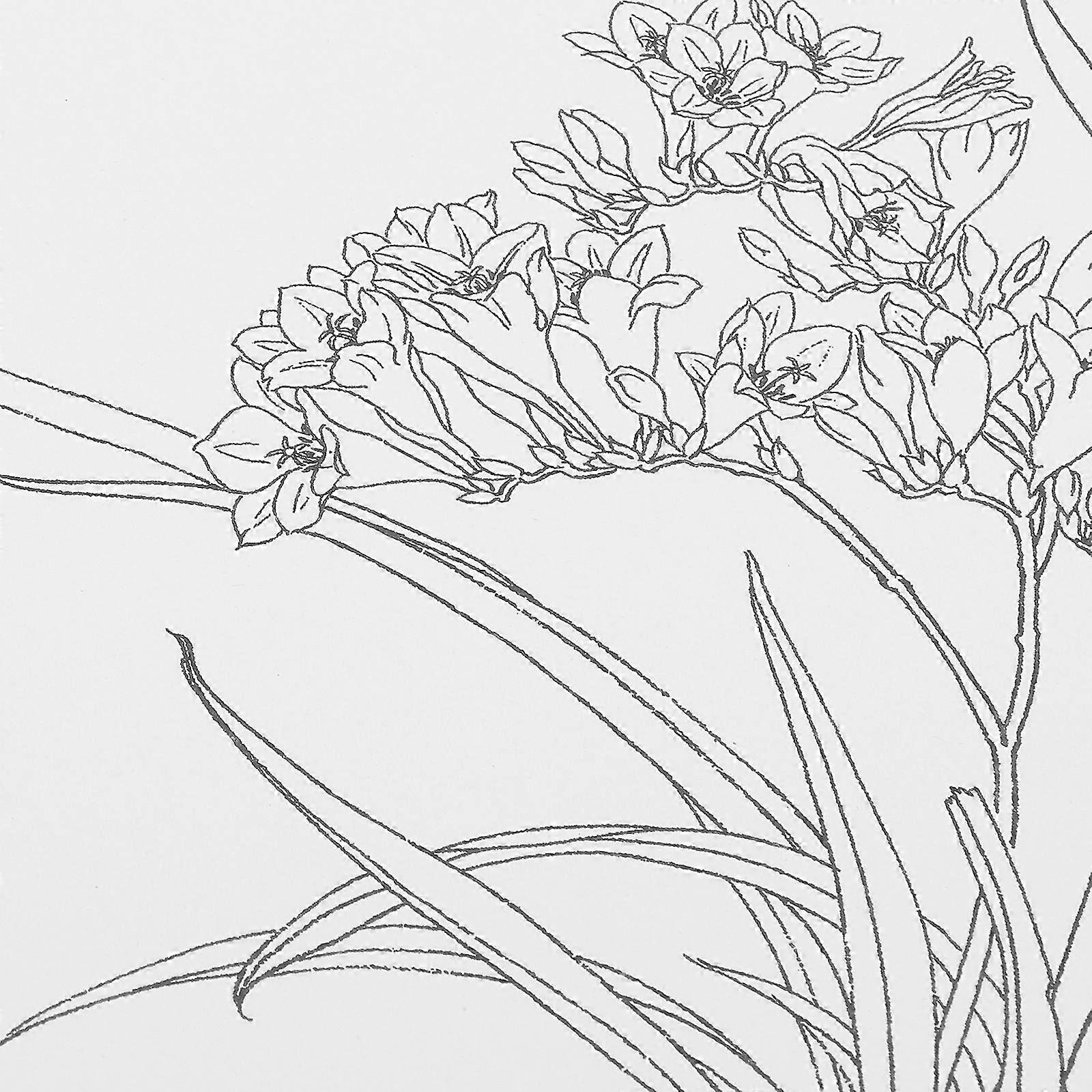 20 Sheets Drawing Paper Watercolor Drawing Paper Coloring Papers ...