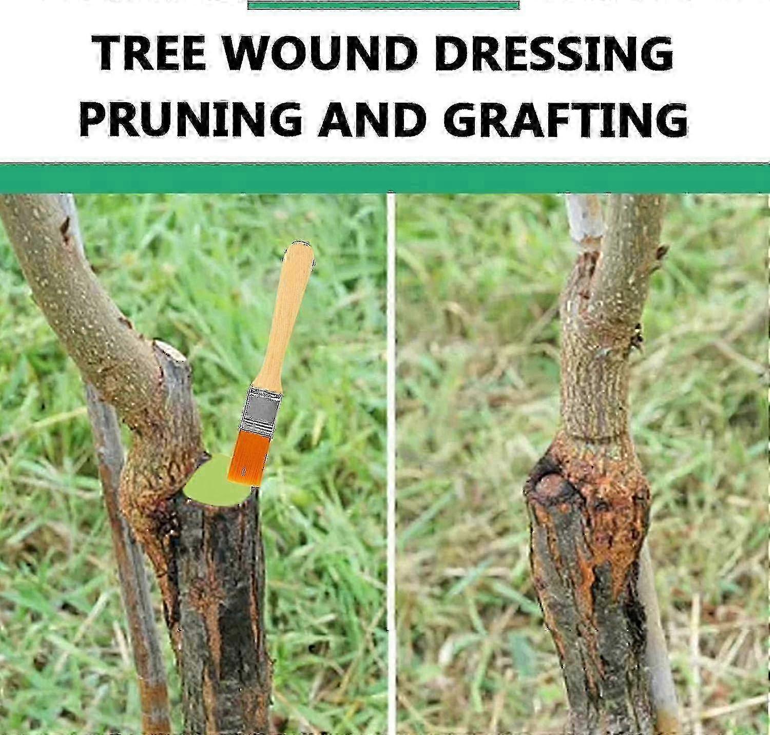 Tree Pruning Sealer | Tree Wound Pruning Sealer Grafting Compound For ...