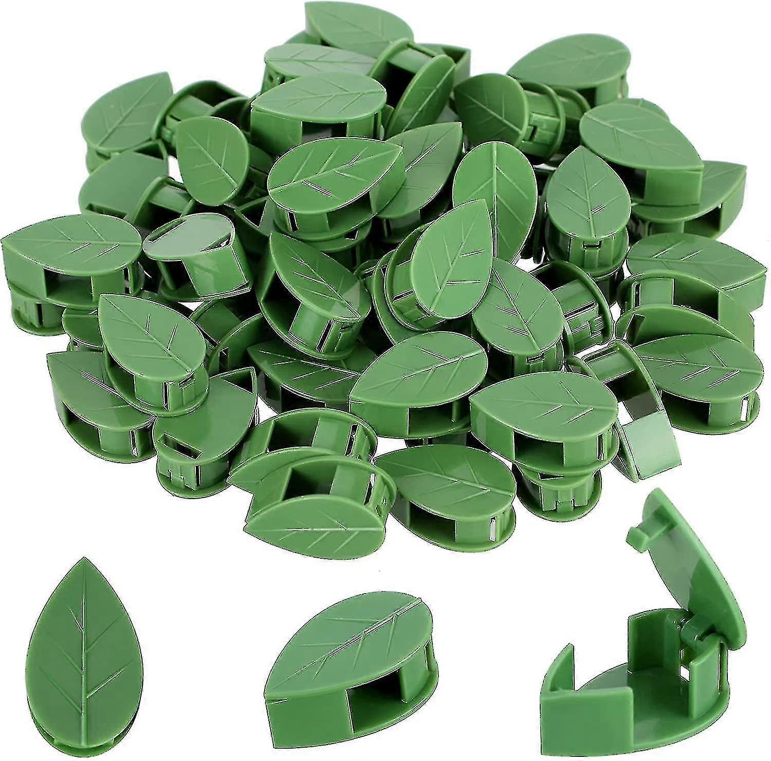 60 Pieces Plant Climbing Wall Fixing Clips 60 Pieces Acrylic Adhesive ...