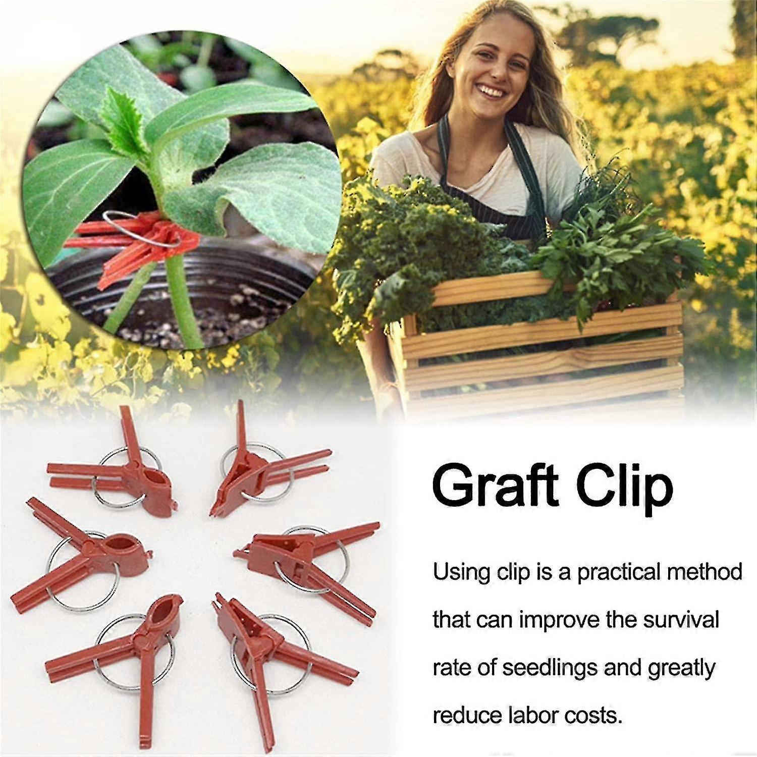 Tomato Grafting Clip Seedling Grafting Clip Eggplant Grafting Clip 100 ...
