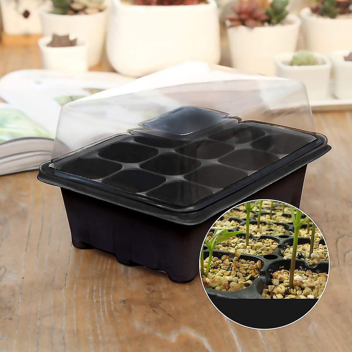 Plateau de semis de 3 paquets, plateaux de pépinière de cellules de ...