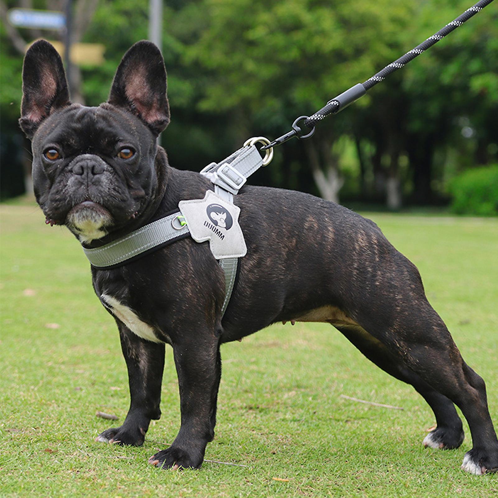 Dog Chest Strap Reflective Pet Harness Comfortable Adjustable Pet Chest ...