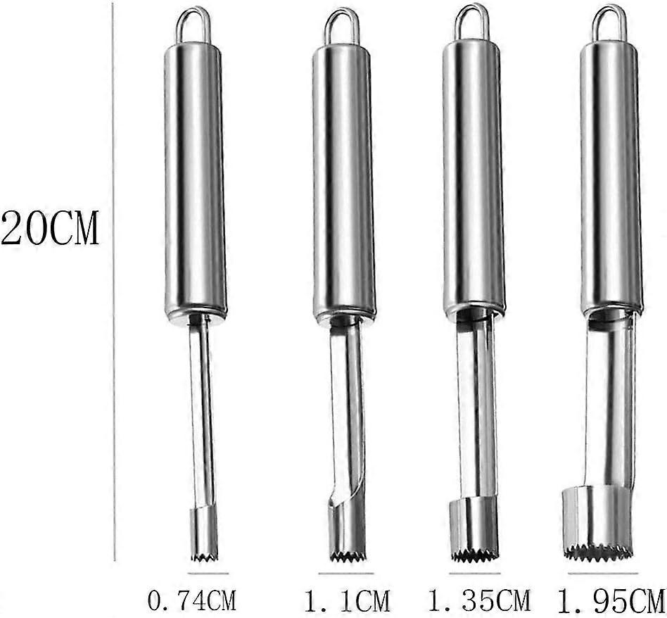4 Pcs Stainless Steel Apple Core Remover, 4 Different Types Core ...