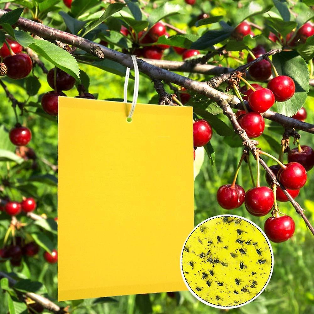 50 Insect Traps, Double Sided Sticky Paper, Yellow Sticky Papers For ...