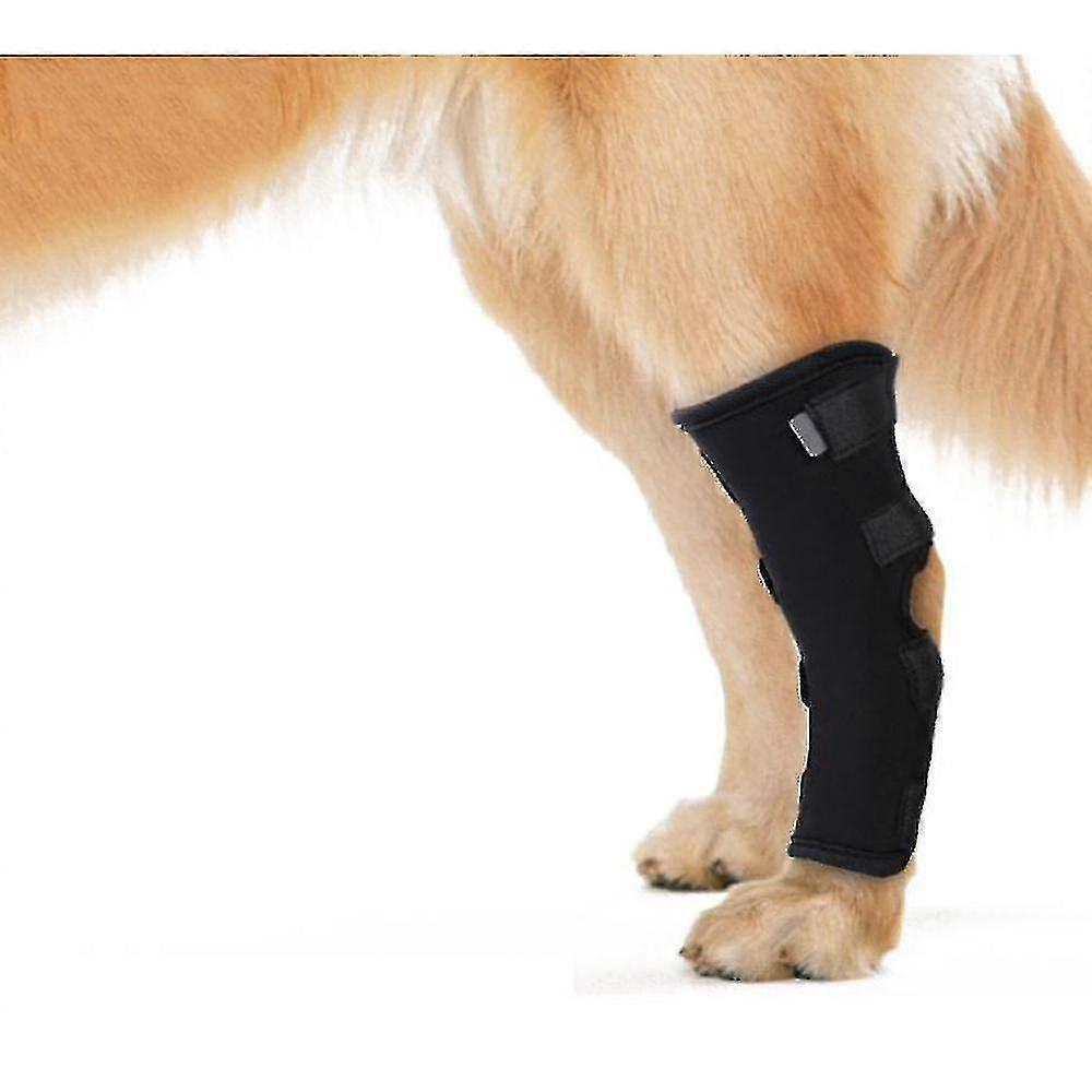 dog Rear Front Leg Hock Joint Wrap Protects Wounds Compression Brace ...