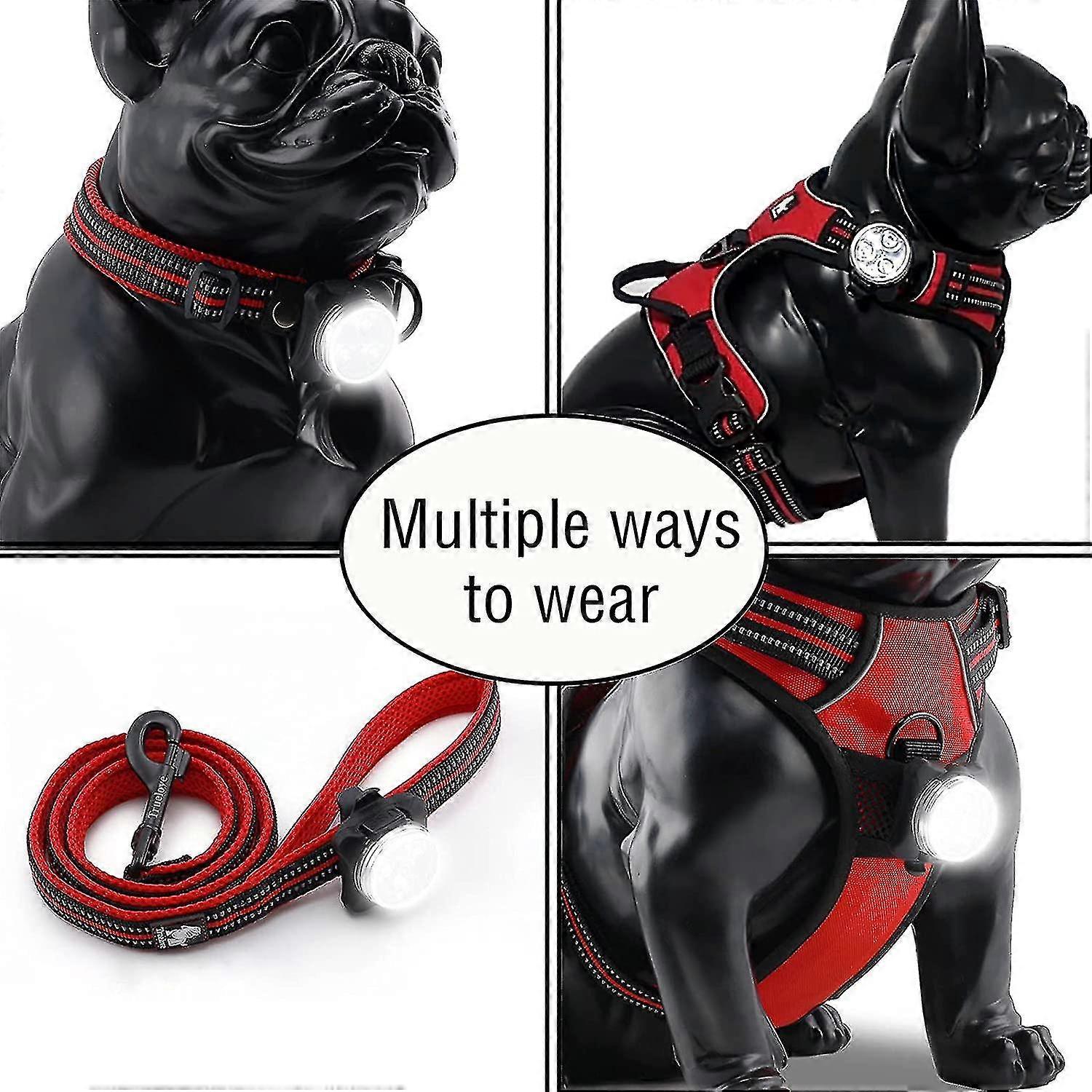 Led Light Dog Collar Pendant Light Dog Leash Flashing Light Puppy Cat ...